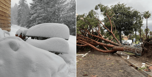Prévisions météo saisonnières dans les Alpes : neige, vent, risques d ...